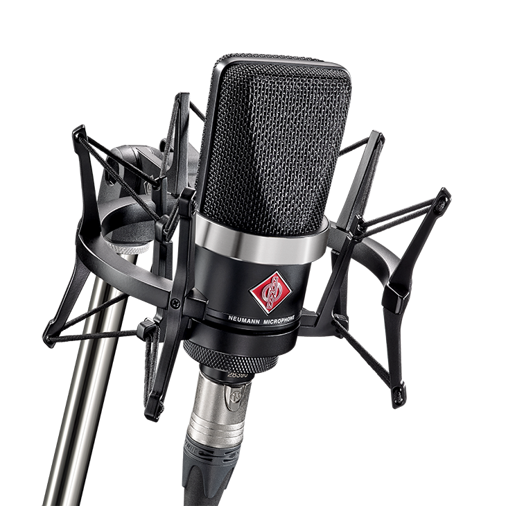 TLM 102 - Studio Microphone